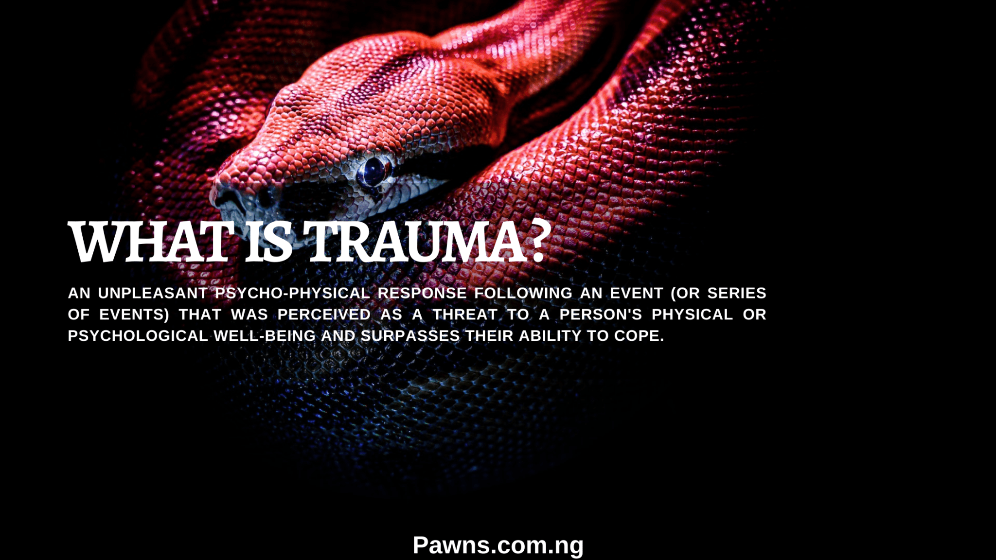 Trauma: How It Kills You [And How To Heal] » Pawns: Grow, Level, Step Up